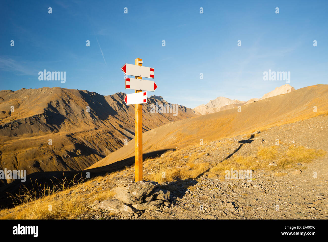 Blank footpath signposts leading to various direction. Copy space ready ...