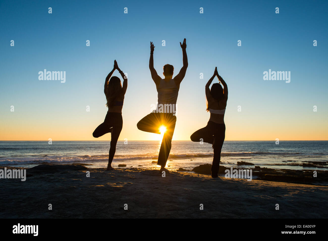 Tree pose, Windansea beach, La Jolla, California Stock Photo - Alamy