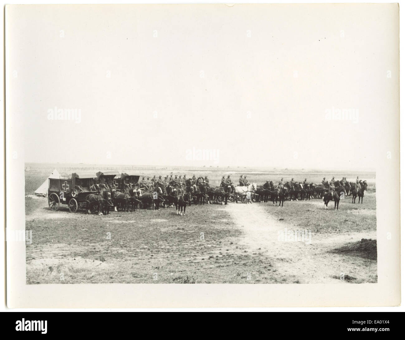A photograph depicting the transport used by the 5th Field Ambulance ...