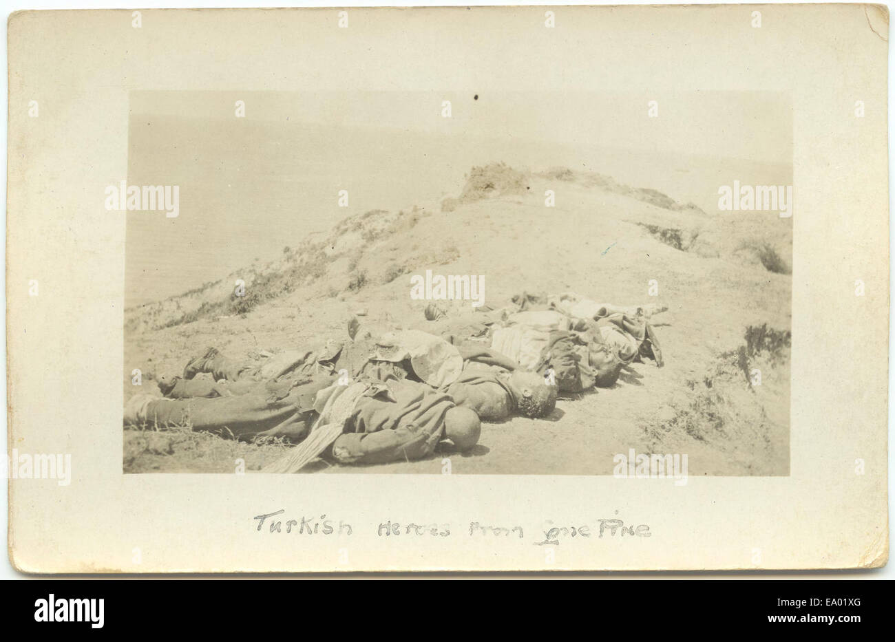 A photograph of Turkish soldiers who died during the Battle of Lone ...
