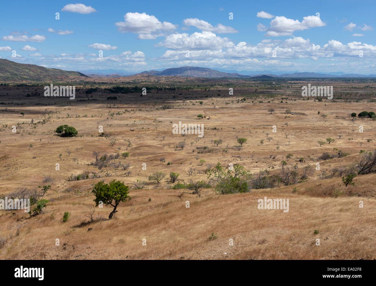 An open vista in Madagascar Stock Photo - Alamy