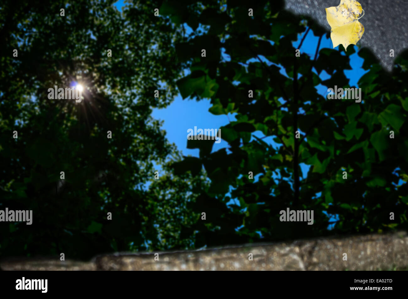 Reflection sun in water hi-res stock photography and images - Alamy