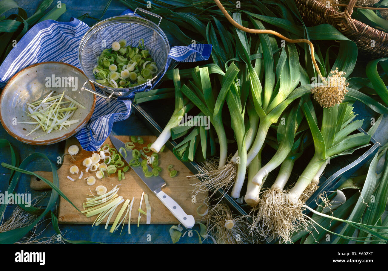 Cylindrical root hi-res stock photography and images - Alamy