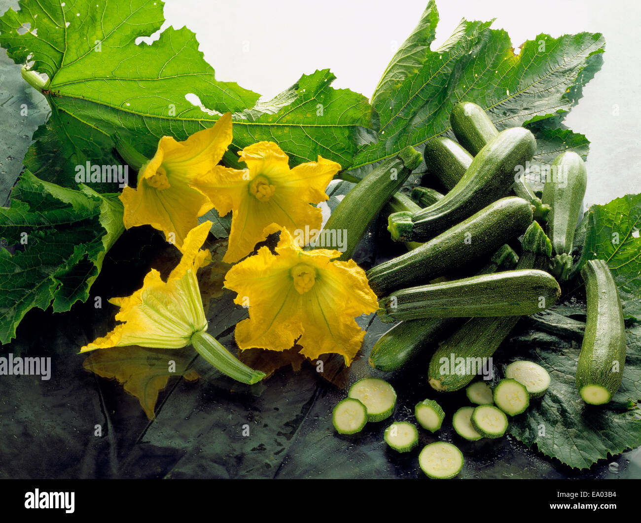 Agriculture - Still life of zucchinis and leaves, full size and baby ...