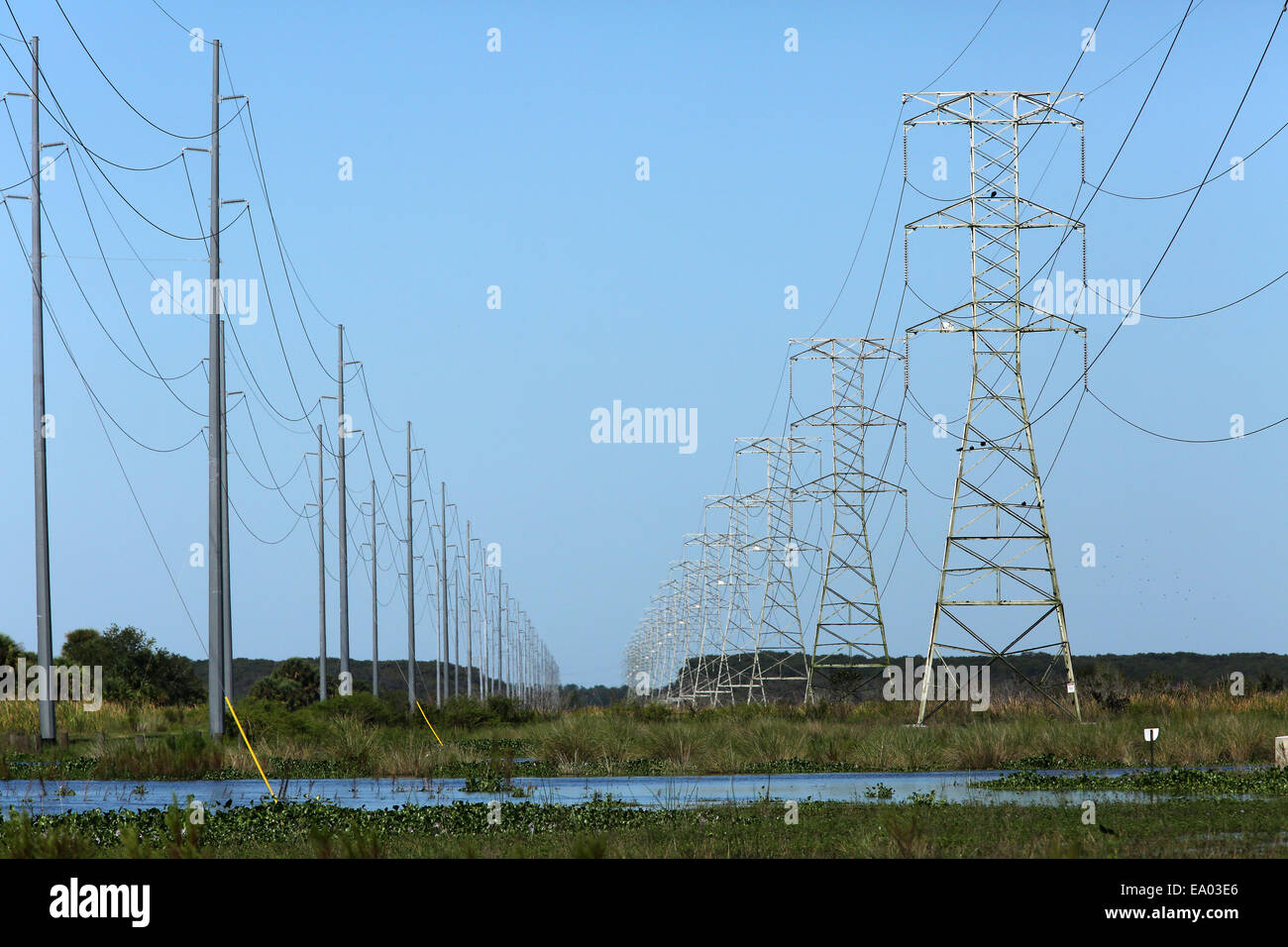 Lines of power cables over the wetlands of the St John's river, near ...