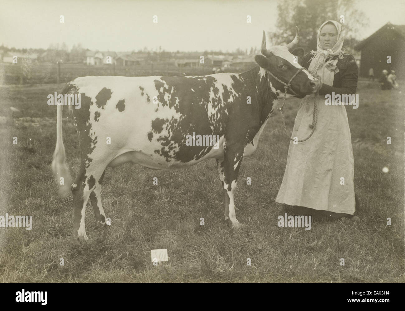 This image features a piece from the Finnish agriculture collection ...