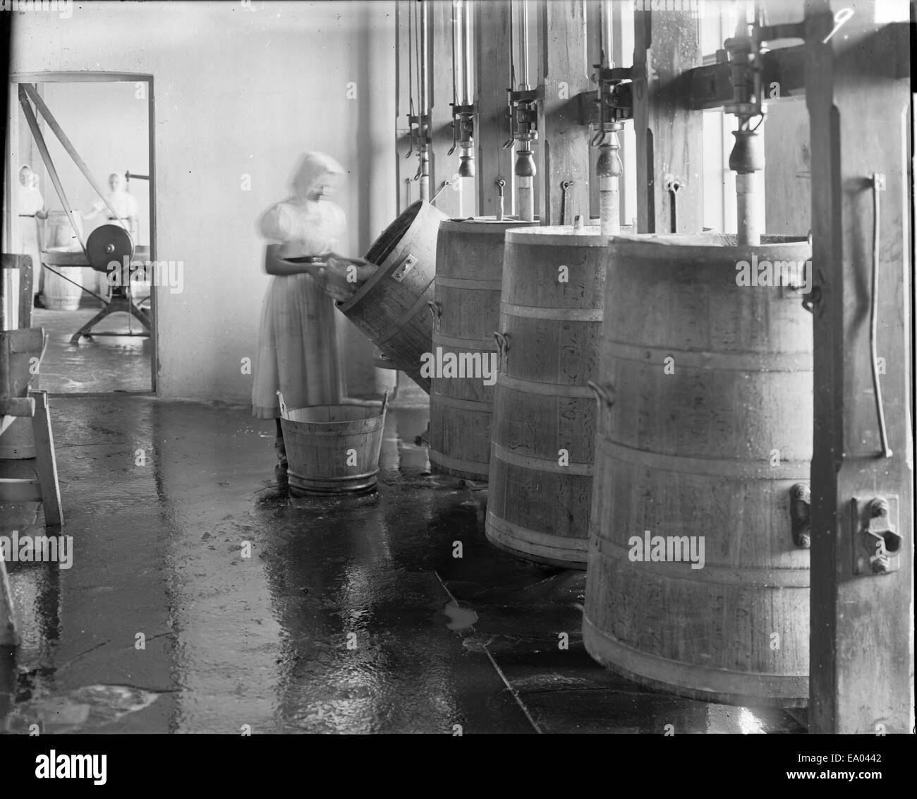 This image, created by IK Inha, portrays Finnish agriculture in the ...