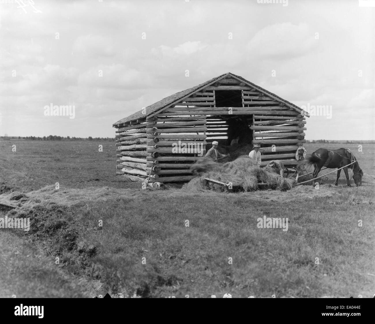 IK Inha's Finnish agriculture photography captures early 20th-century ...