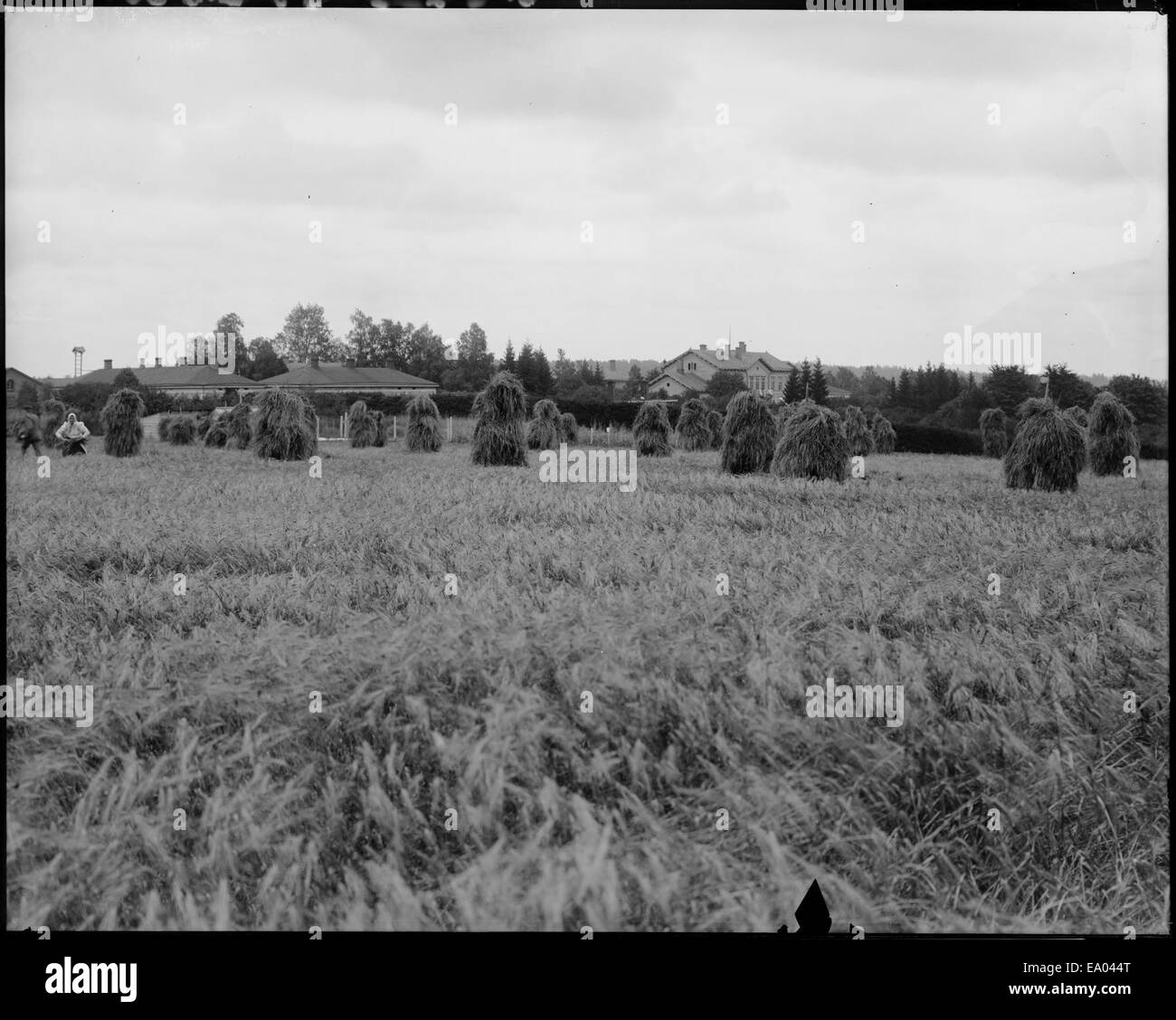 This photograph by IK Inha captures the essence of Finnish agriculture ...