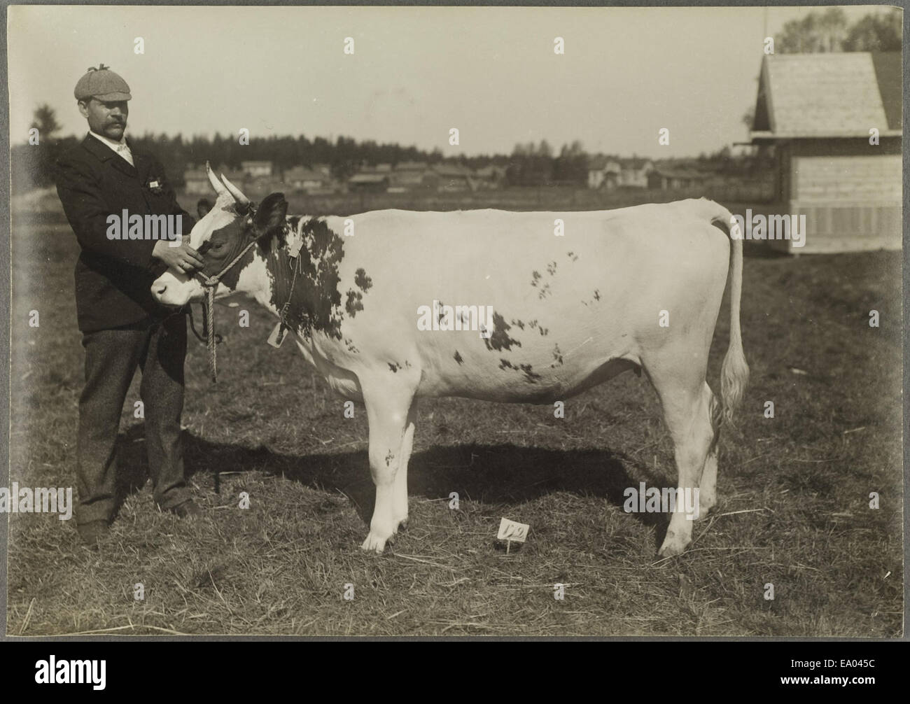 Finnish agriculture hi-res stock photography and images - Alamy