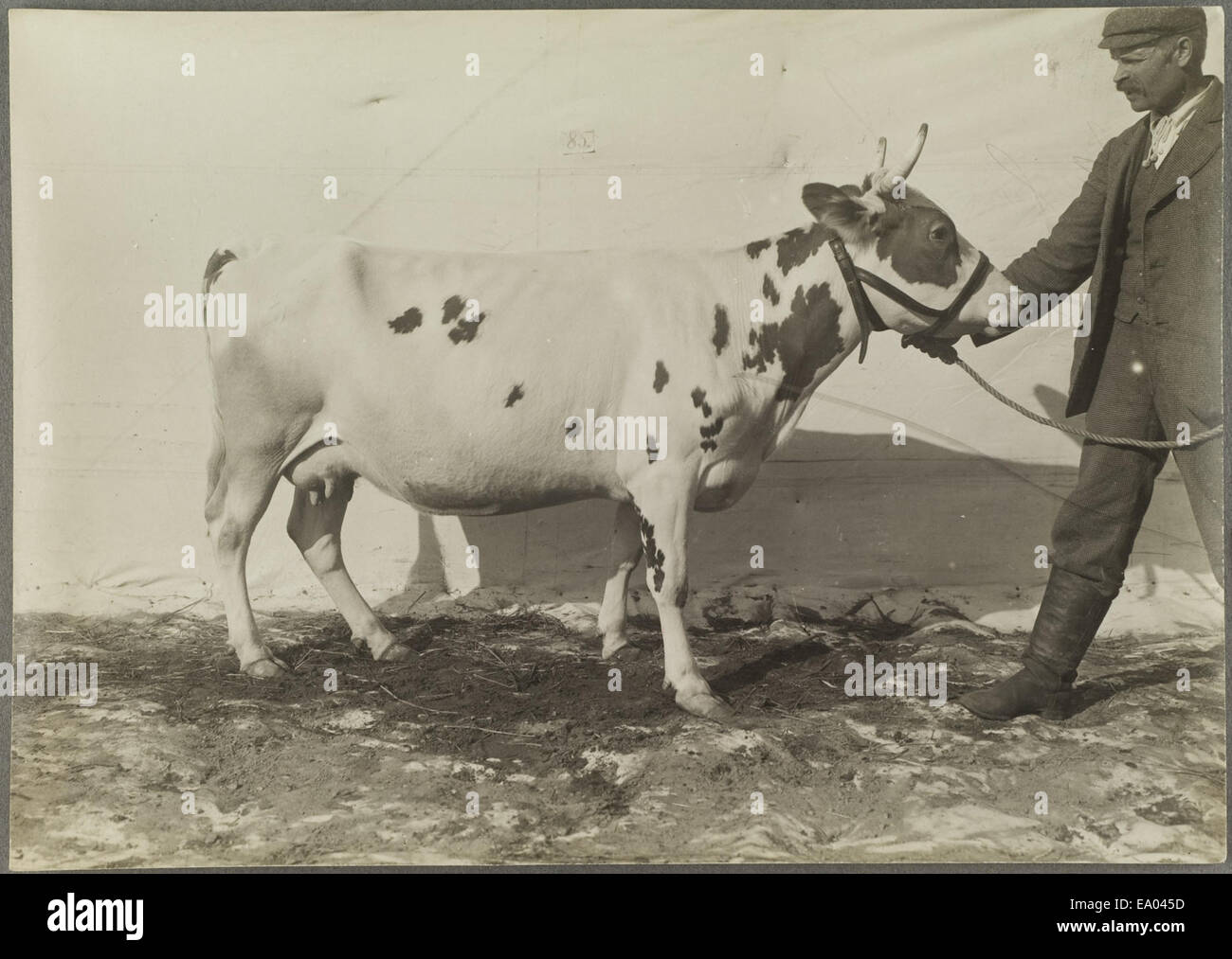 This image is part of IK Inha's photographic documentation of Finnish ...