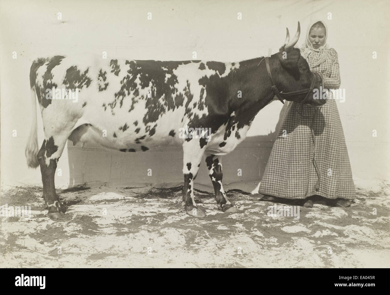 An image captured by IK Inha, a Finnish photographer, showcasing ...