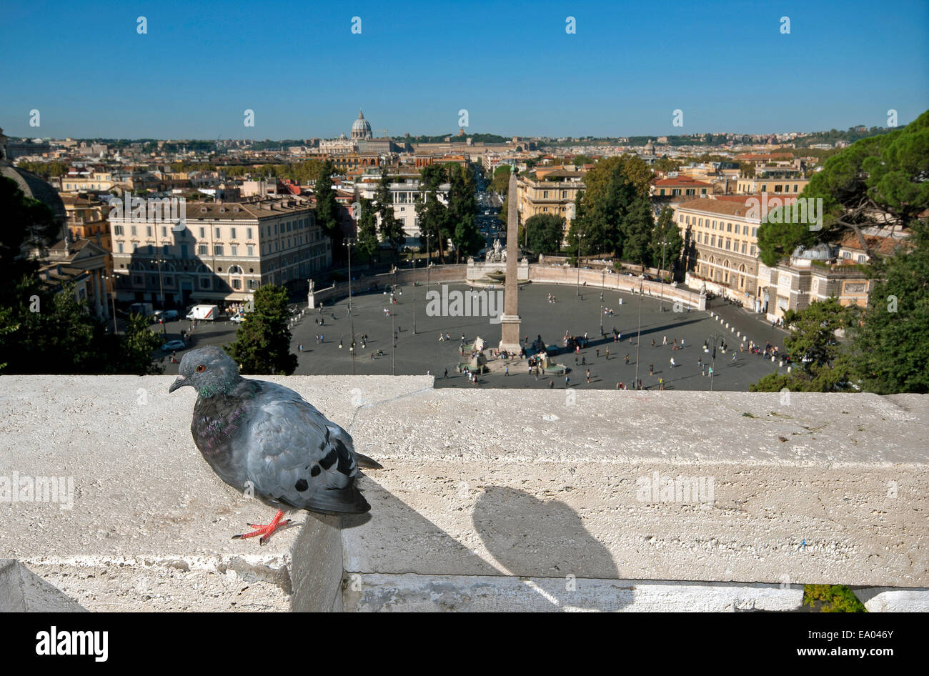 Pigeons of rome hi-res stock photography and images - Alamy