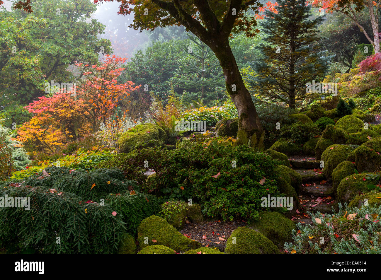 Fall Color Garden Stock Photo - Alamy