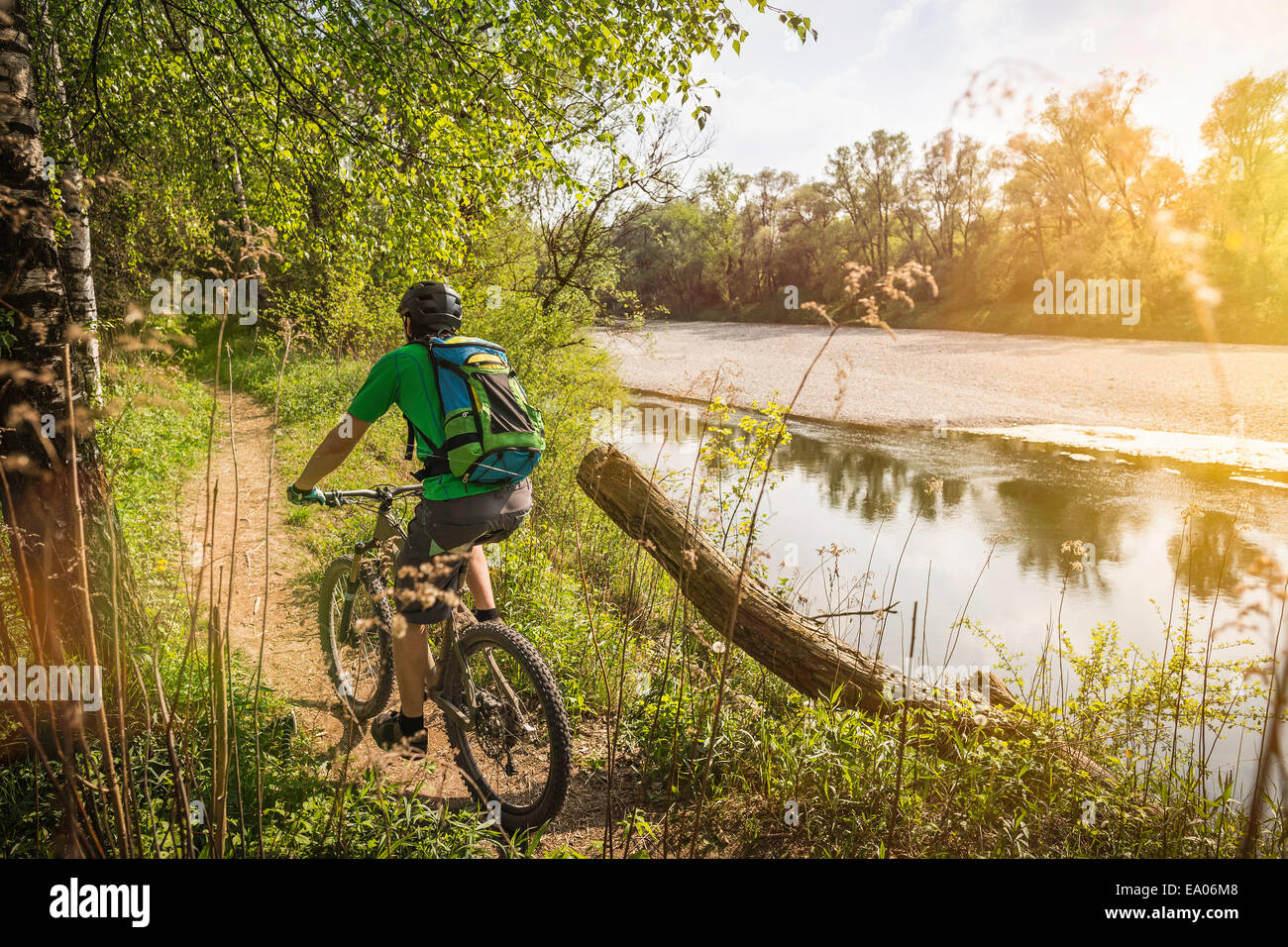 Rear view of young man cycling along riverside path Stock Photo - Alamy