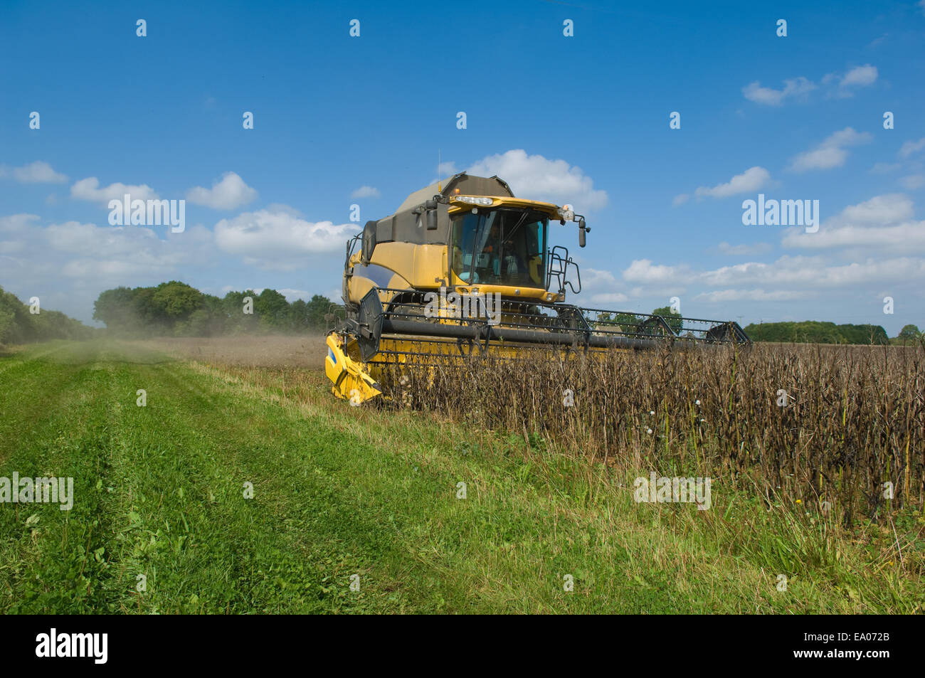 Harvester working in field machine hi-res stock photography and images ...