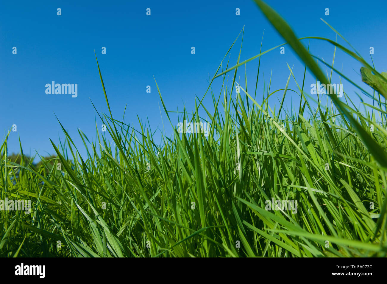 Angle close hi-res stock photography and images - Alamy