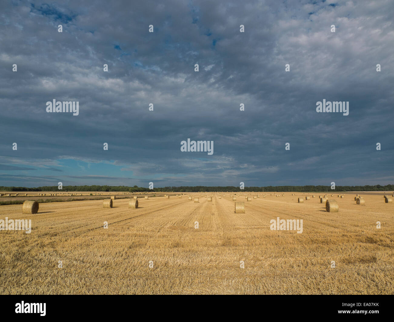 Harvested wheat field hi-res stock photography and images - Alamy