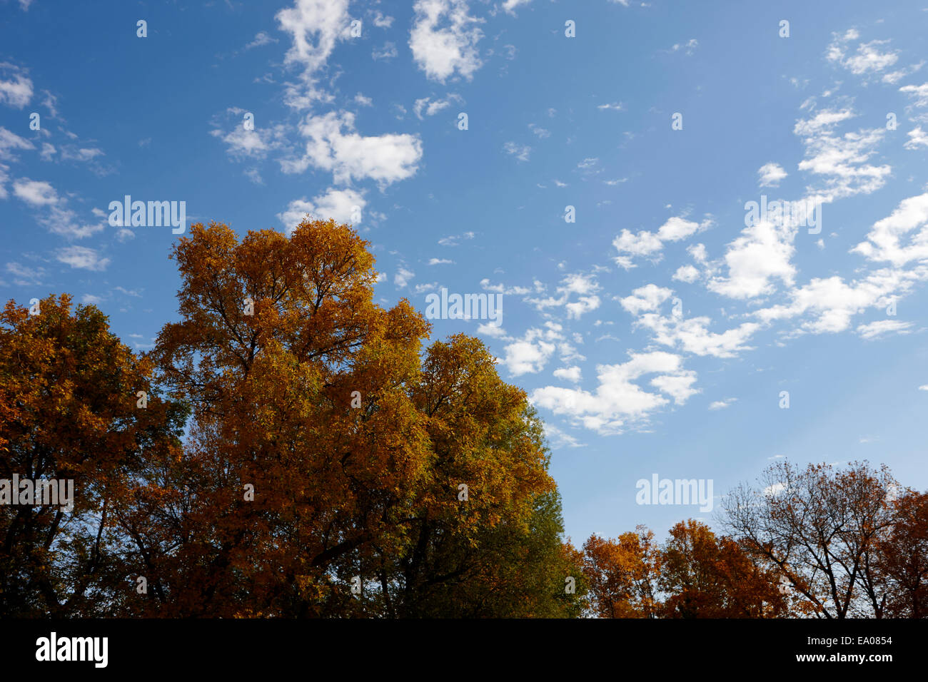 Blue colours hi-res stock photography and images - Alamy