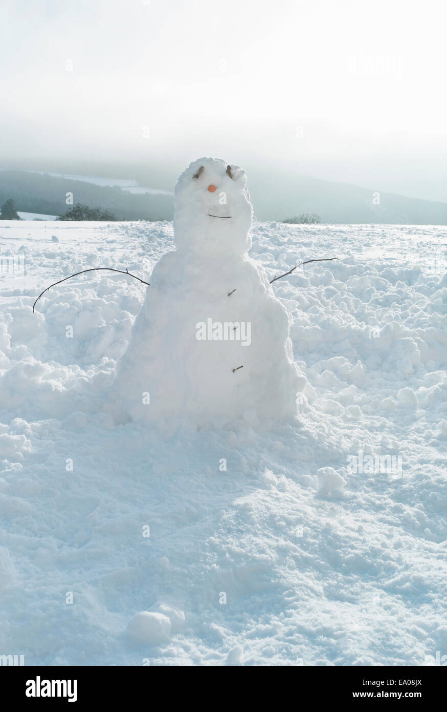 Special no fe hi-res stock photography and images - Alamy