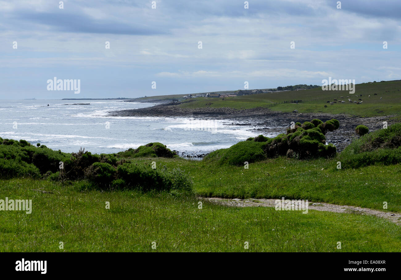 Village houses craster hi-res stock photography and images - Alamy