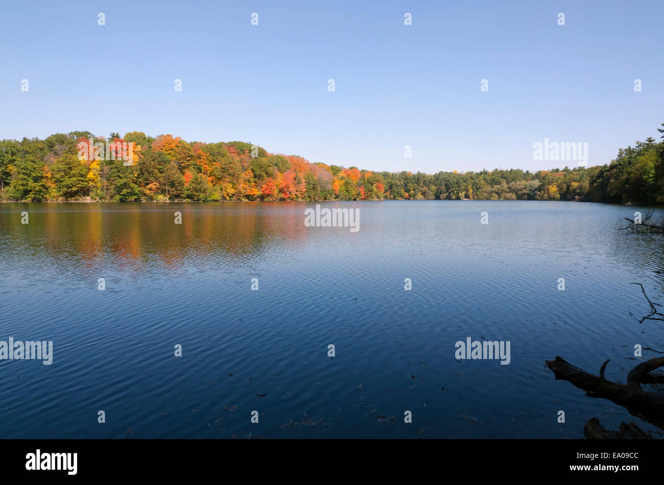 Reflection of colorful forest in lake surface in the overcast day Stock ...
