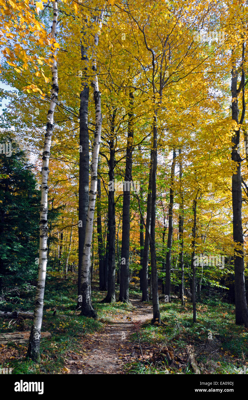 Back country path hi-res stock photography and images - Alamy