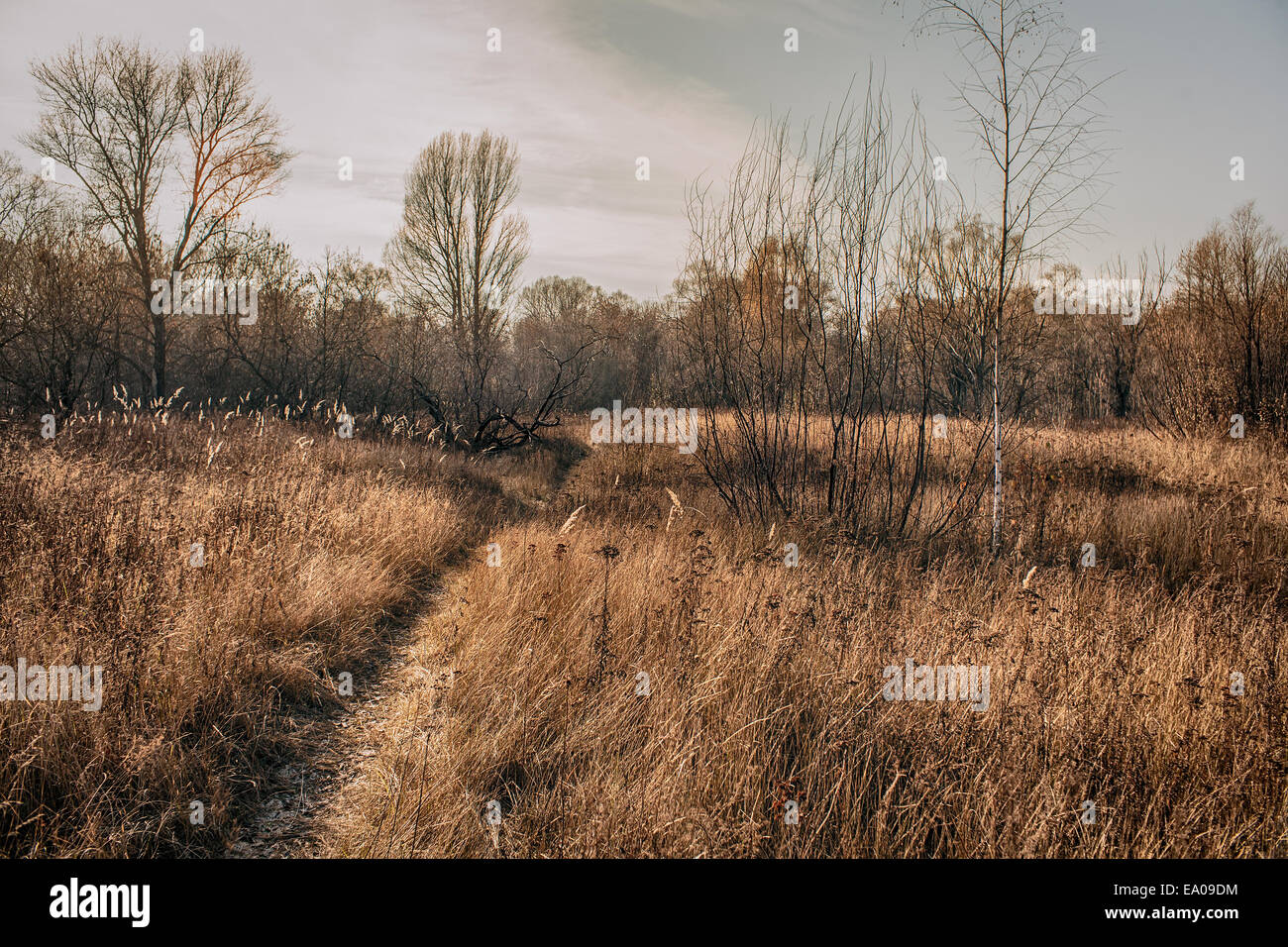 November landscape hi-res stock photography and images - Alamy