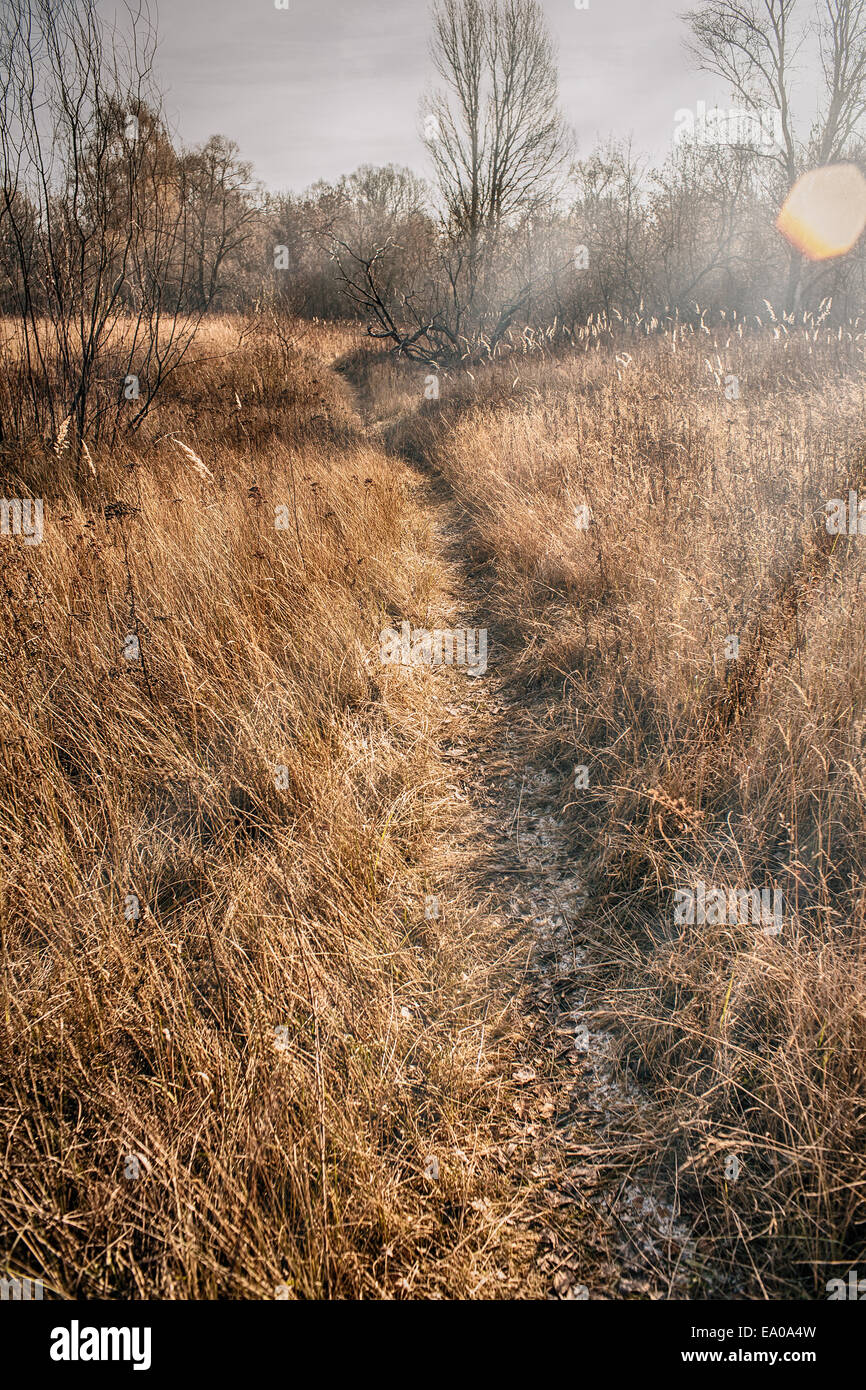 November landscape. Pale colors of the season. Sunlight from right ...