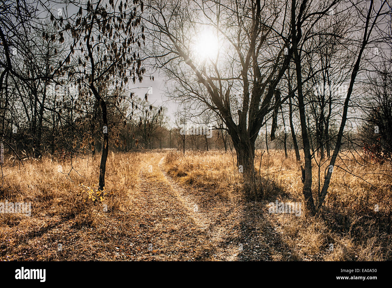 November landscape. Pale colors of the season Stock Photo - Alamy