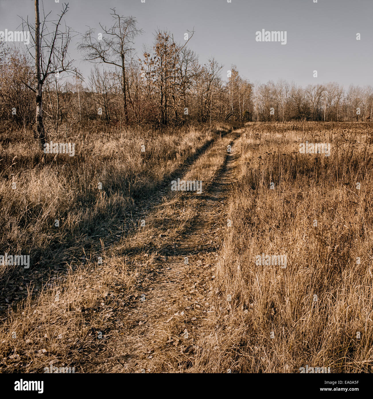 November landscape. Pale colors of the season Stock Photo - Alamy