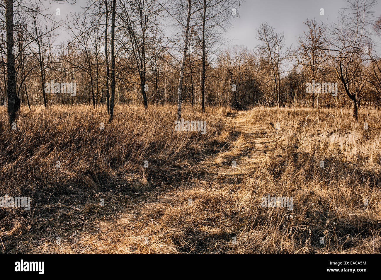 November landscape. Pale colors of the season Stock Photo - Alamy
