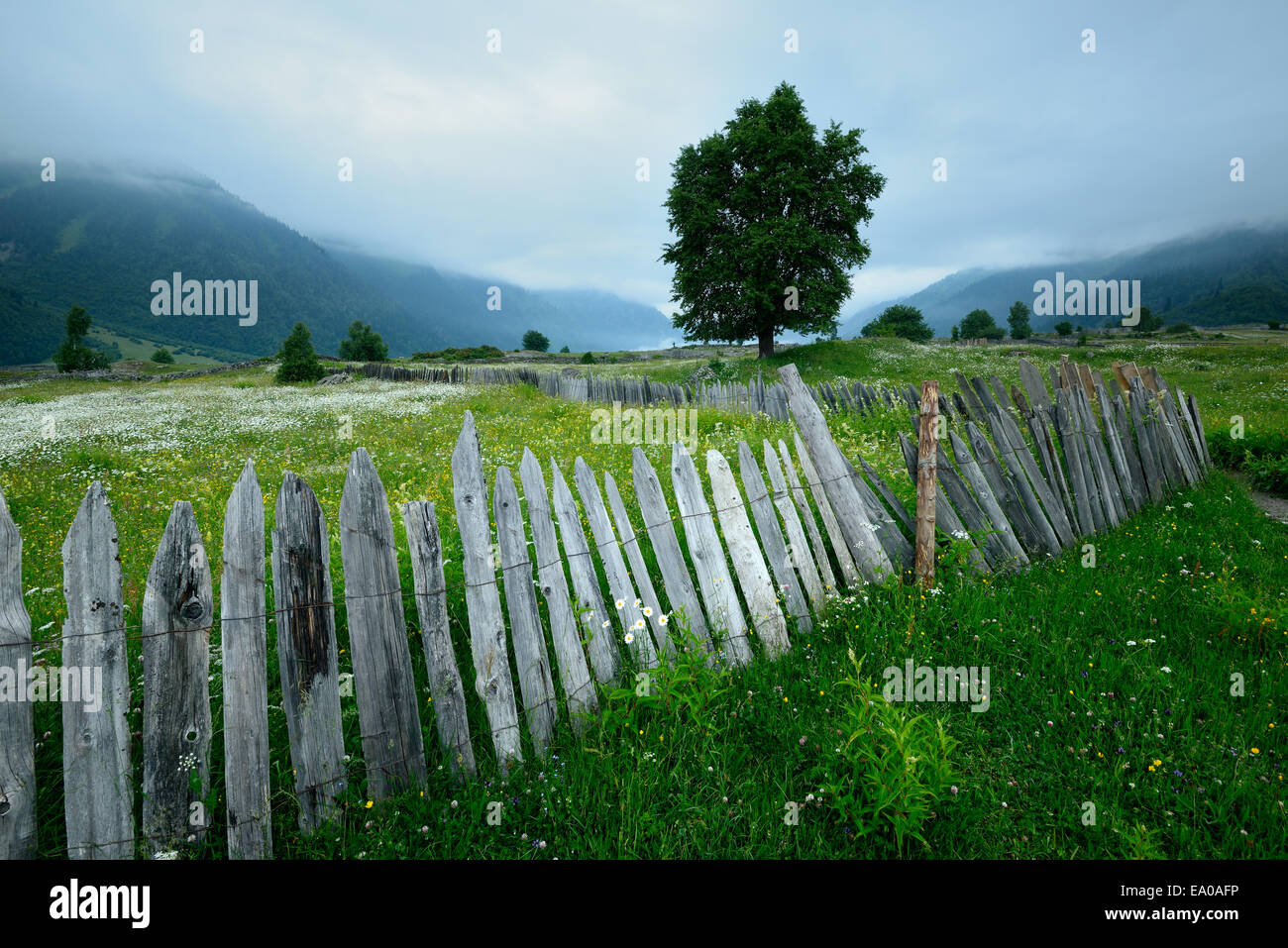 Fence in misty valley, Mazeri village, Svaneti, Georgia Stock Photo - Alamy