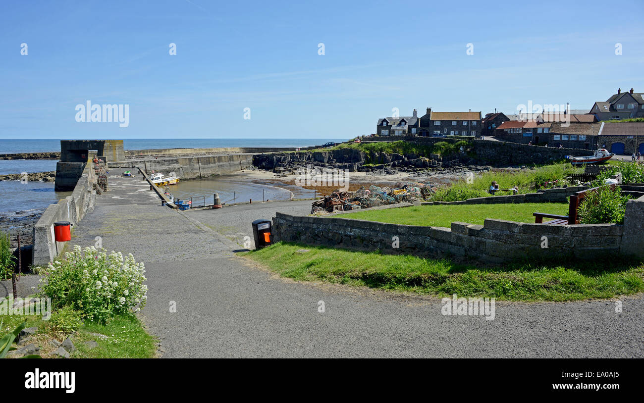 Craster hi-res stock photography and images - Alamy