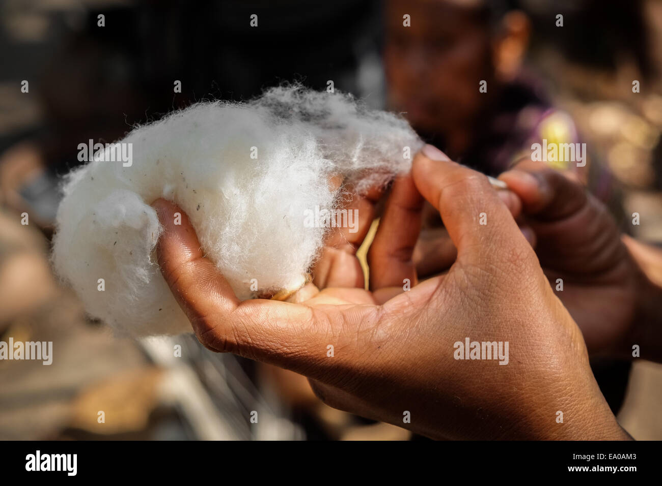 A woman preparing cotton to be used in weaving process in Lembata ...