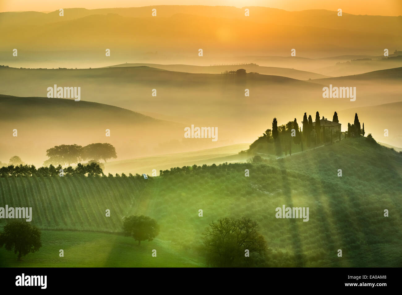 Sunrise over the green fields in Tuscany Stock Photo - Alamy
