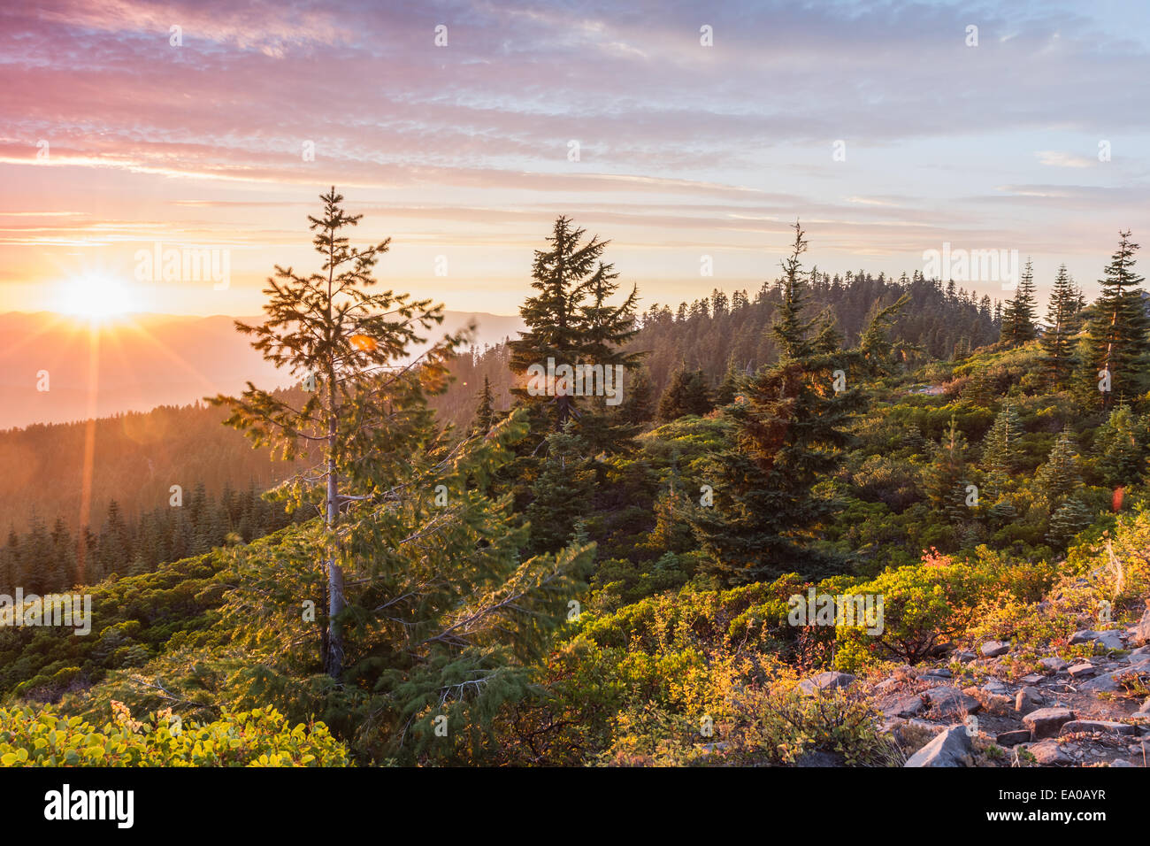 beautiful sunset from the top of Red Blanket Mountain in Oregon, some ...