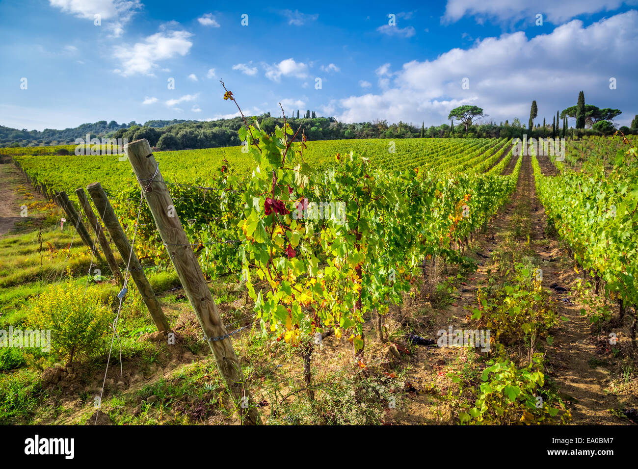 Tranquil vineyard farm house valley hi-res stock photography and images ...