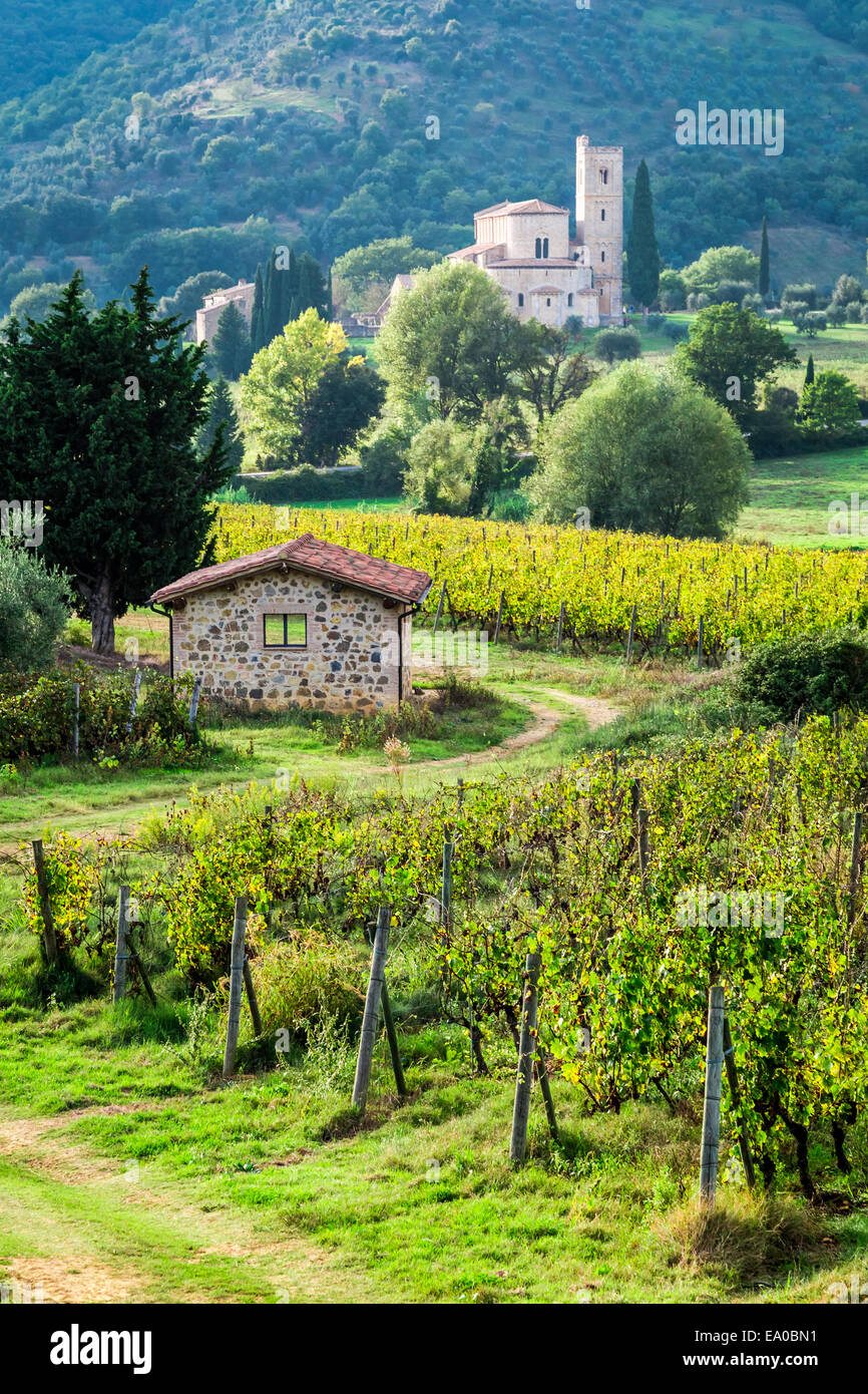 Country road leading through vineyards to the monastery Stock Photo - Alamy