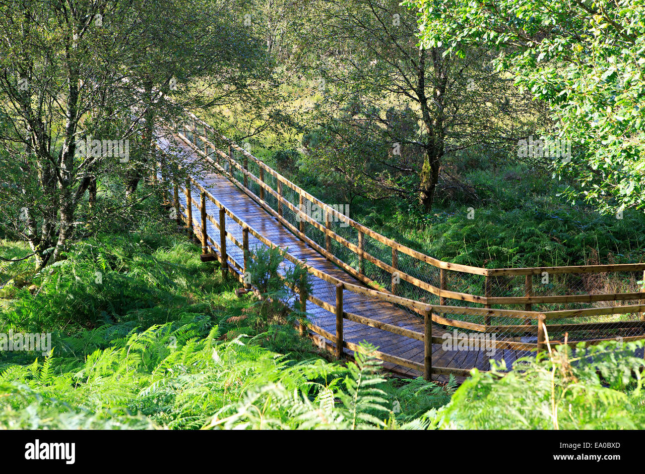 Wicklow walking trails hi-res stock photography and images - Alamy