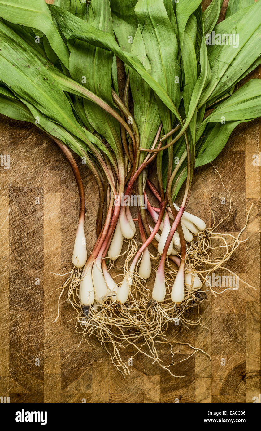 Ramps vegetable hi-res stock photography and images - Alamy