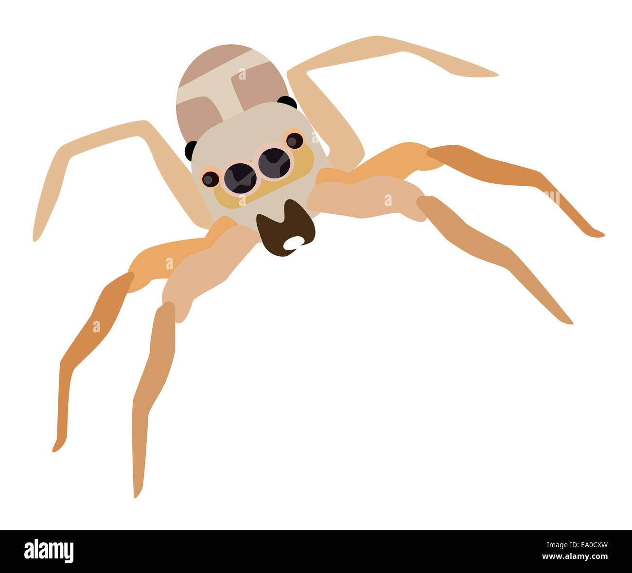 Illustration jumping spider isolated on white background Stock Photo ...