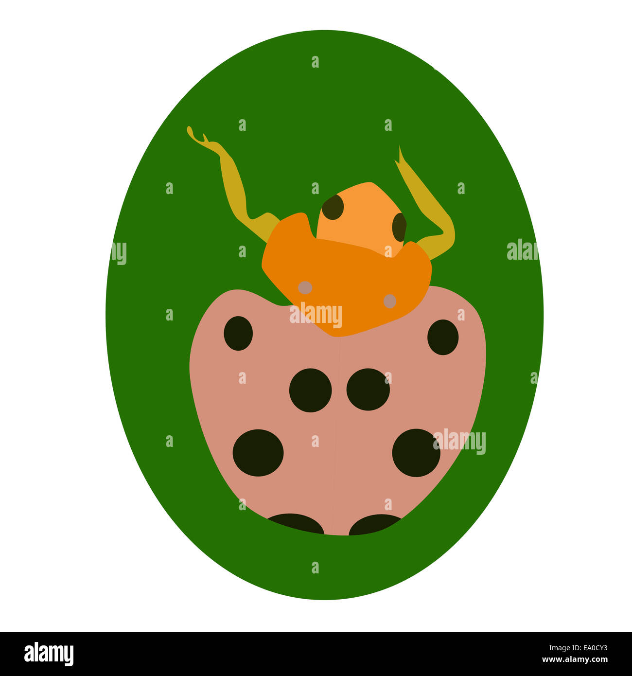 Illustration of ladybug on green background Stock Photo - Alamy