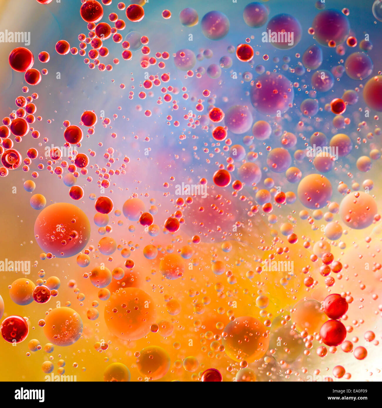 oil drops on water surface with colorful gradient background Stock ...