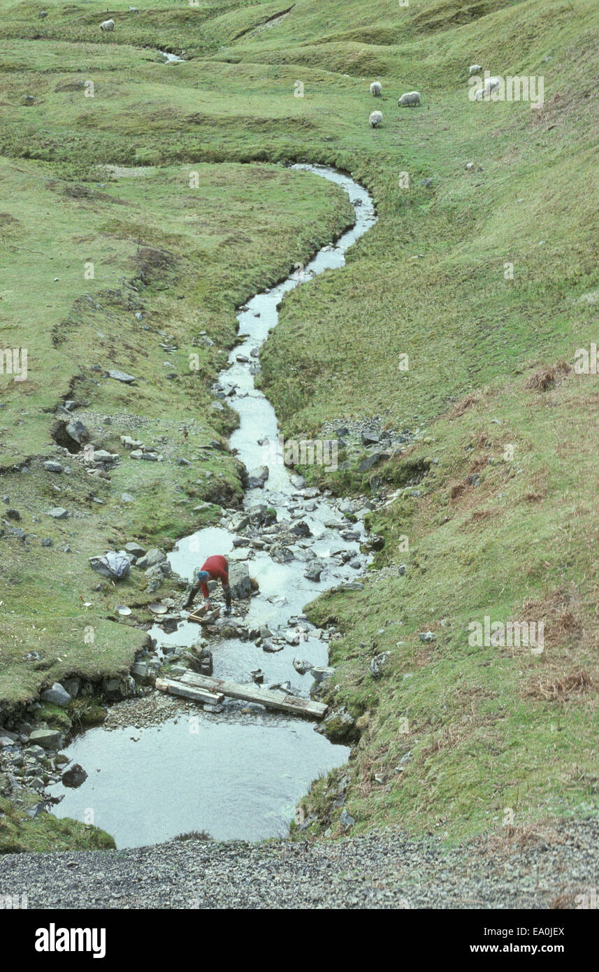 Panning for gold in a Scottish burn near Leadhills in Dumfriesshire ...
