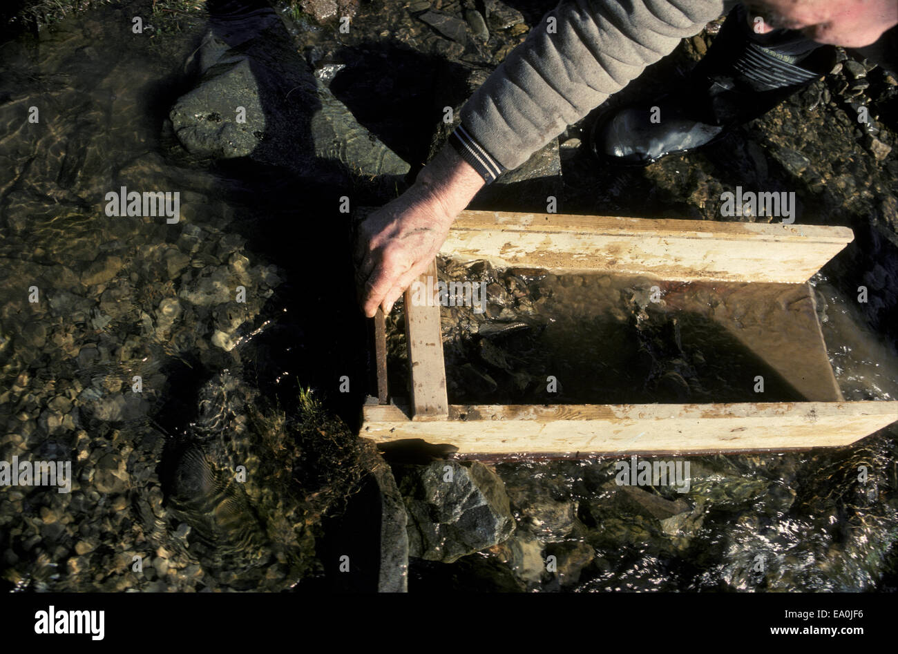 Gold Panning River In Scotland High Resolution Stock Photography and ...