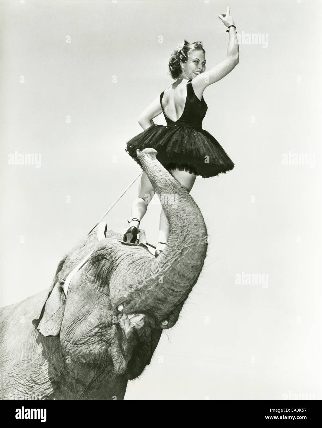 Vintage female circus performer hi-res stock photography and images - Alamy