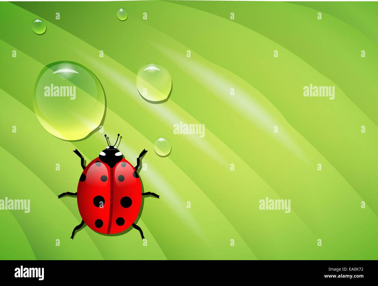 Ladybug vector vectors hi-res stock photography and images - Alamy