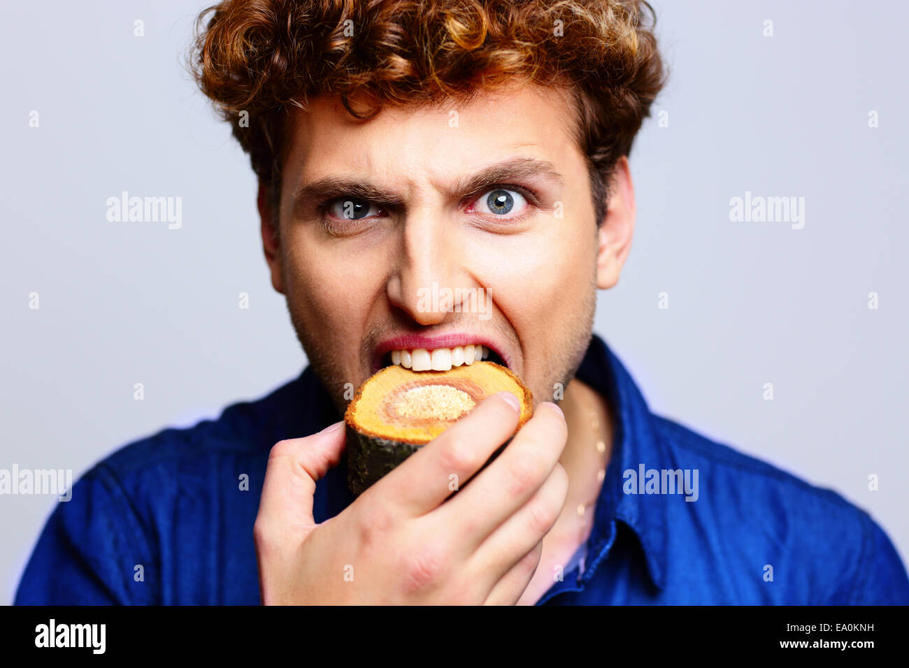 Biting wood hi-res stock photography and images - Alamy