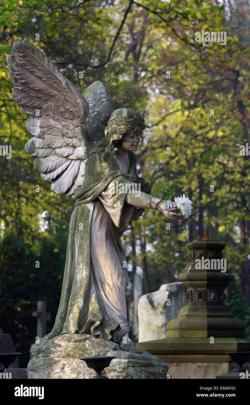Guardian of polish culture hi-res stock photography and images - Alamy